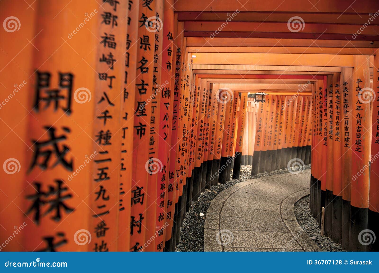 Tori gate in Japan stock photo. Image of trees, religion - 36707128