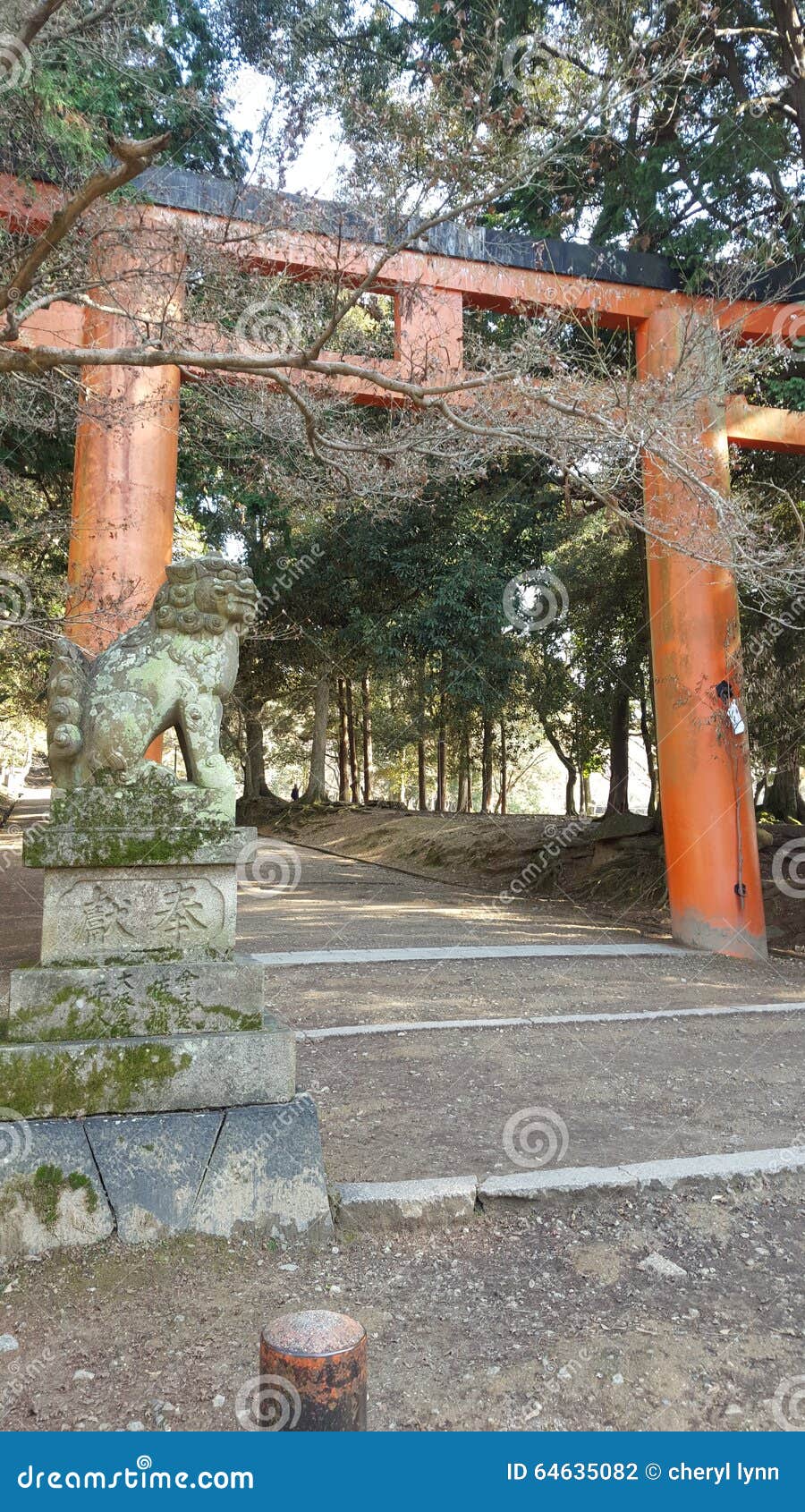 Tori gate stock photo. Image of temple, tori, nara, gate - 64635082