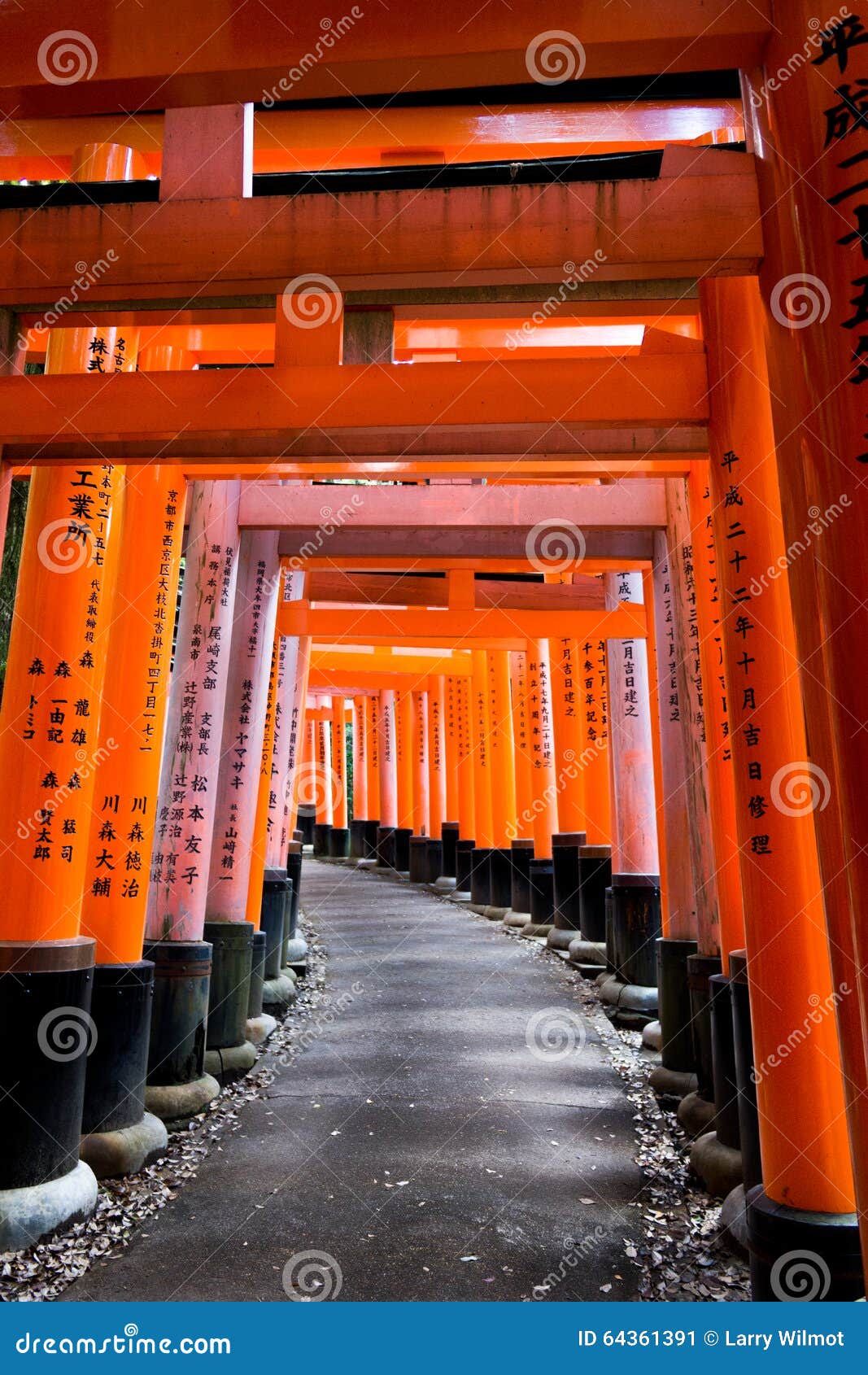 Tori Gates at Shrine in Japan. Stock Image - Image of shrine, buddist ...