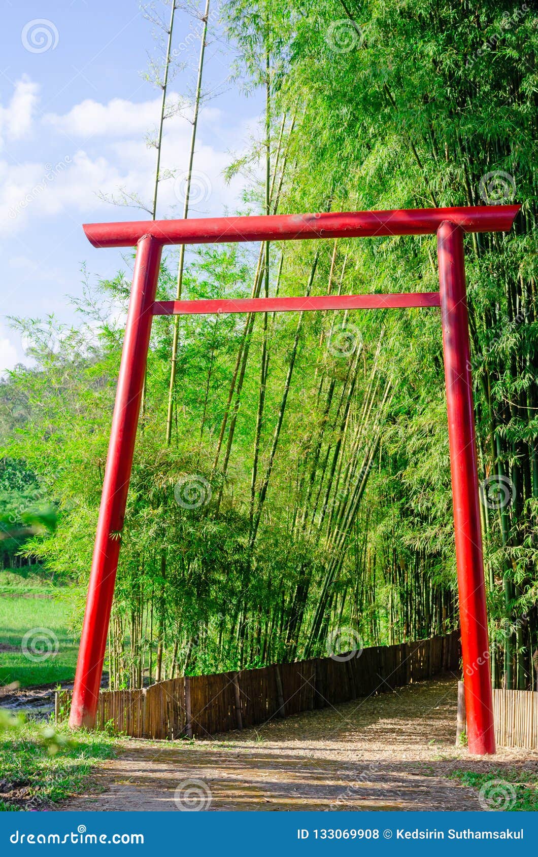 Torii Gate and Bamboo Forest with Walkway Stock Photo - Image of gate ...