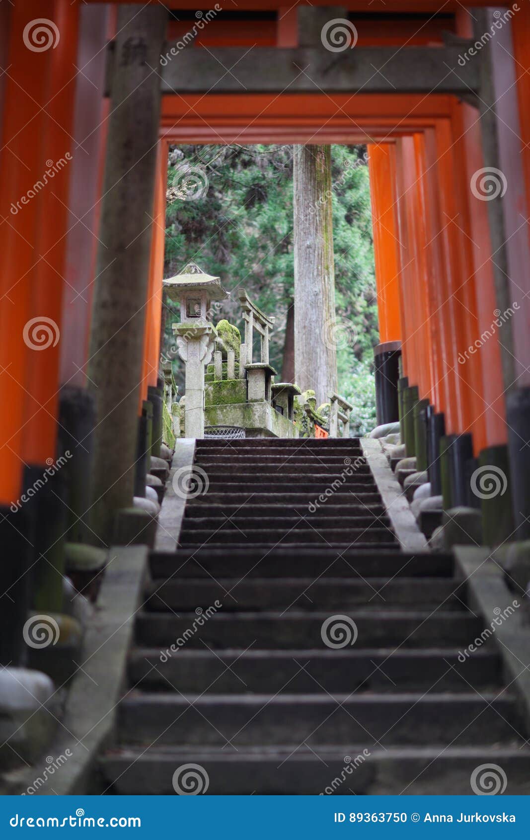 Torii gate stock photo. Image of japan, ritual, statues - 89363750