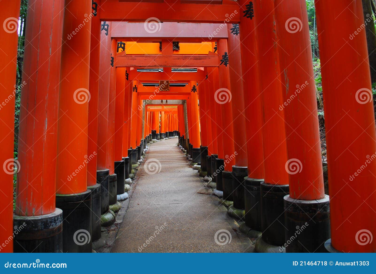 Torii gates stock photo. Image of japan, gates, fushimi - 21464718