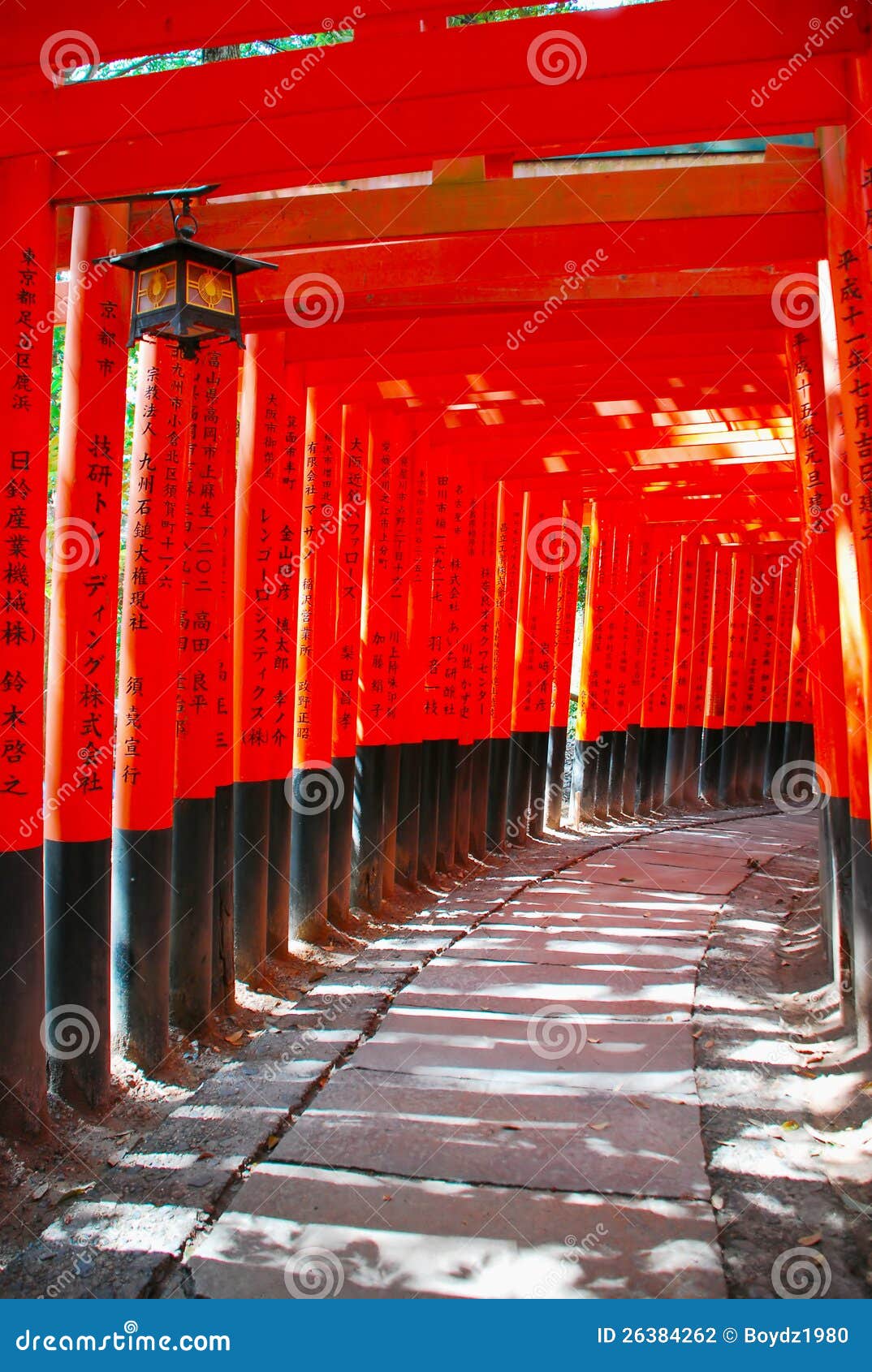 Torii gates stock photo. Image of history, kanji, oriental - 26384262