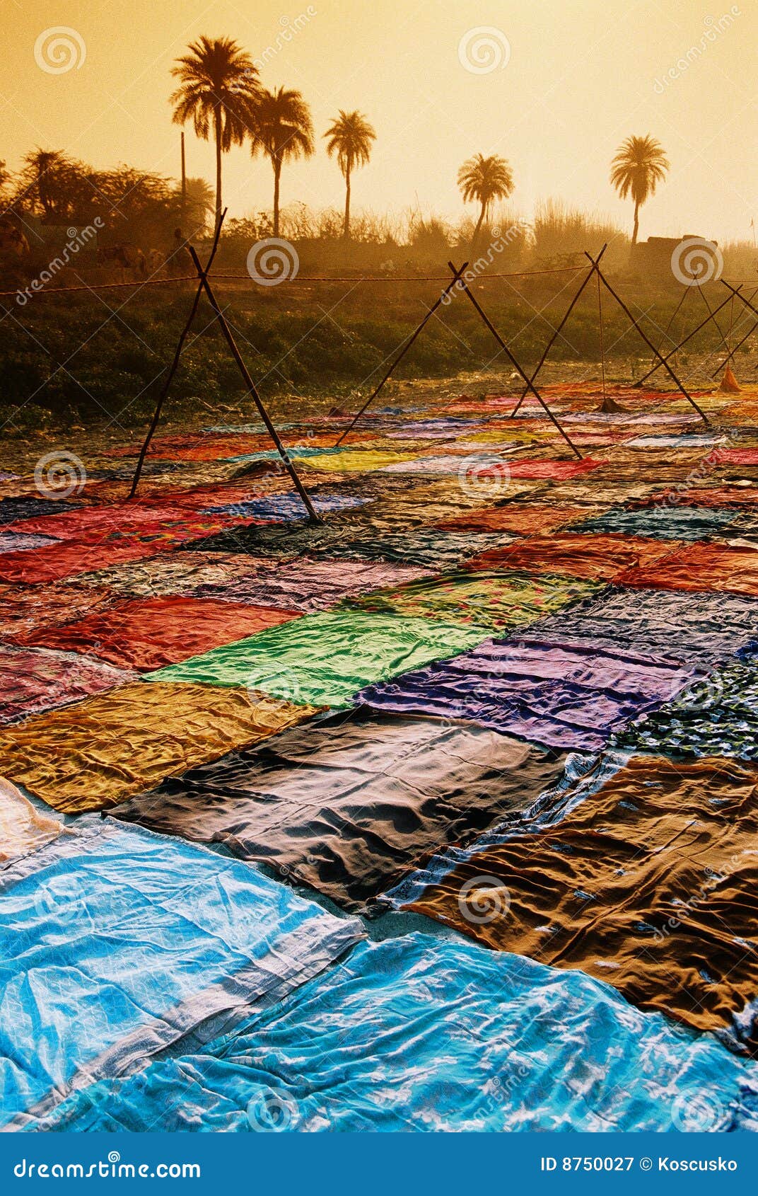 Torka den india sarien fotografering för bildbyråer. Bild av torkduk ...