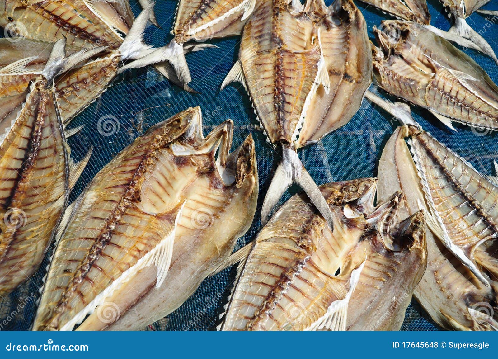 Torkad fisk arkivfoto. Bild av closeup, lampa, granit - 17645648