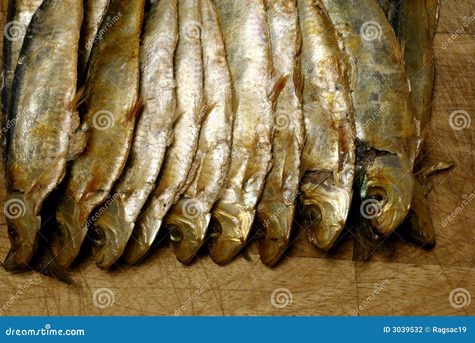 Torkad fisk arkivfoto. Bild av fiskare, netto, skaldjur - 3039532