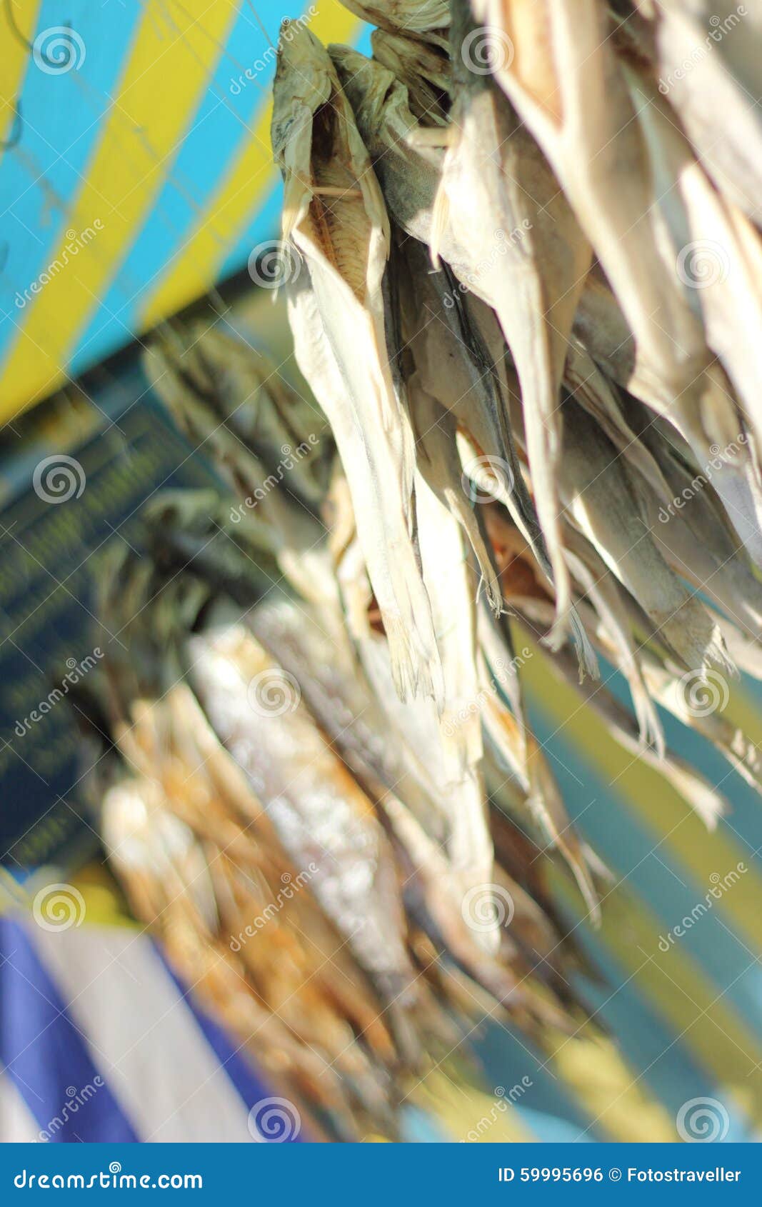 Torkad fisk arkivfoto. Bild av knyckigt, flod, festival - 59995696