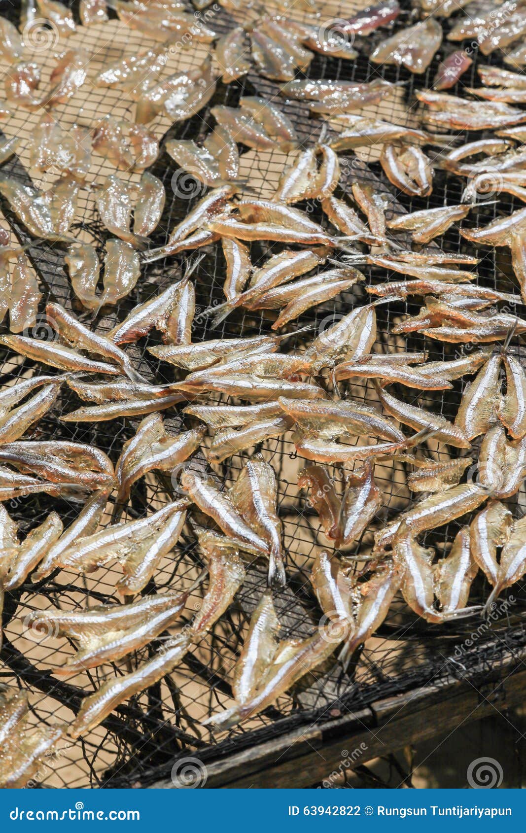 Torkad fisk arkivfoto. Bild av industri, fiske, lantligt - 63942822