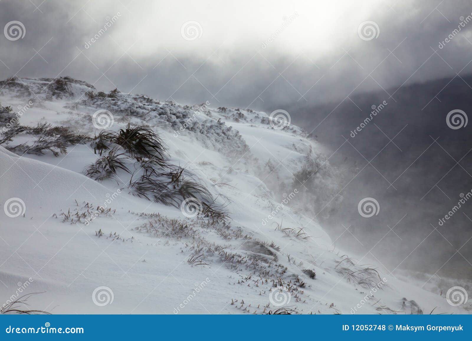 Tormenta En Montañas Tasmanas Foto de archivo - Imagen de nieve ...