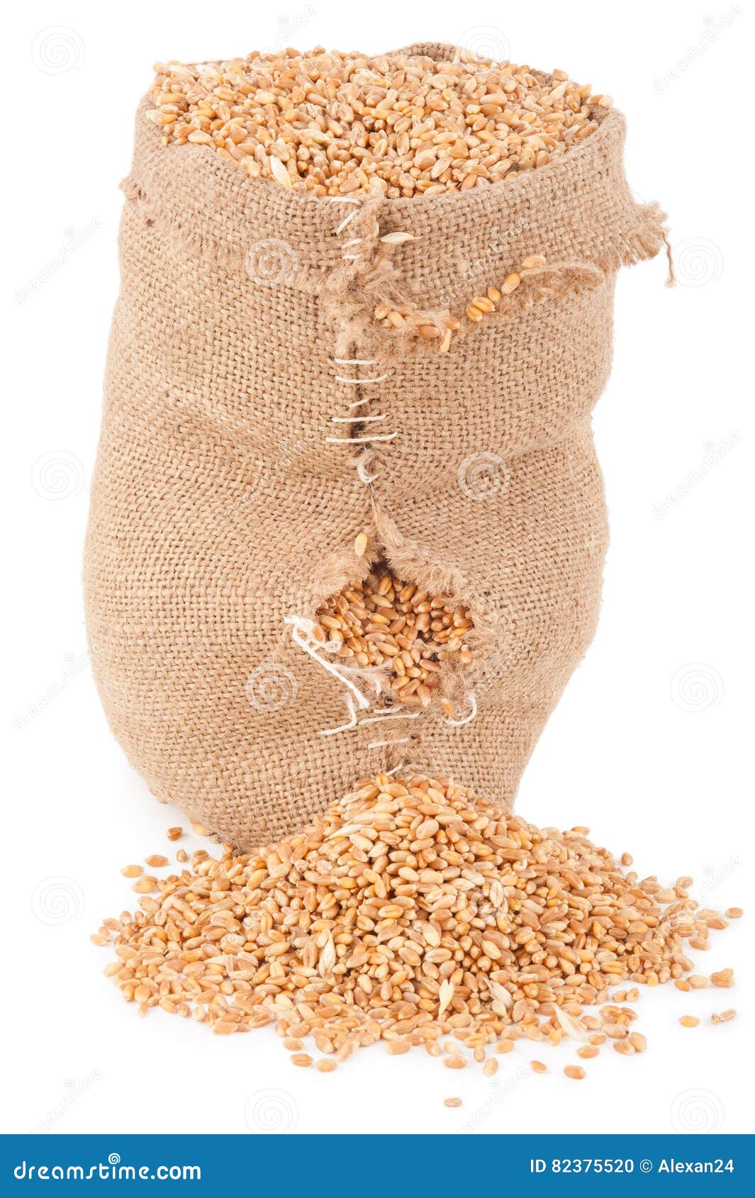 Torn bag with wheat stock photo. Image of kernels, corn - 82375520