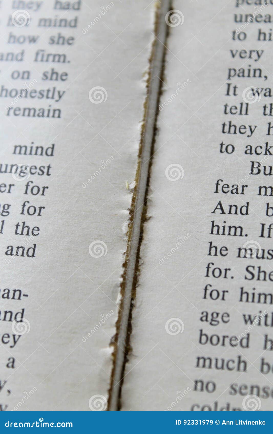 Torn book stock image. Image of interests, interest, language - 92331979