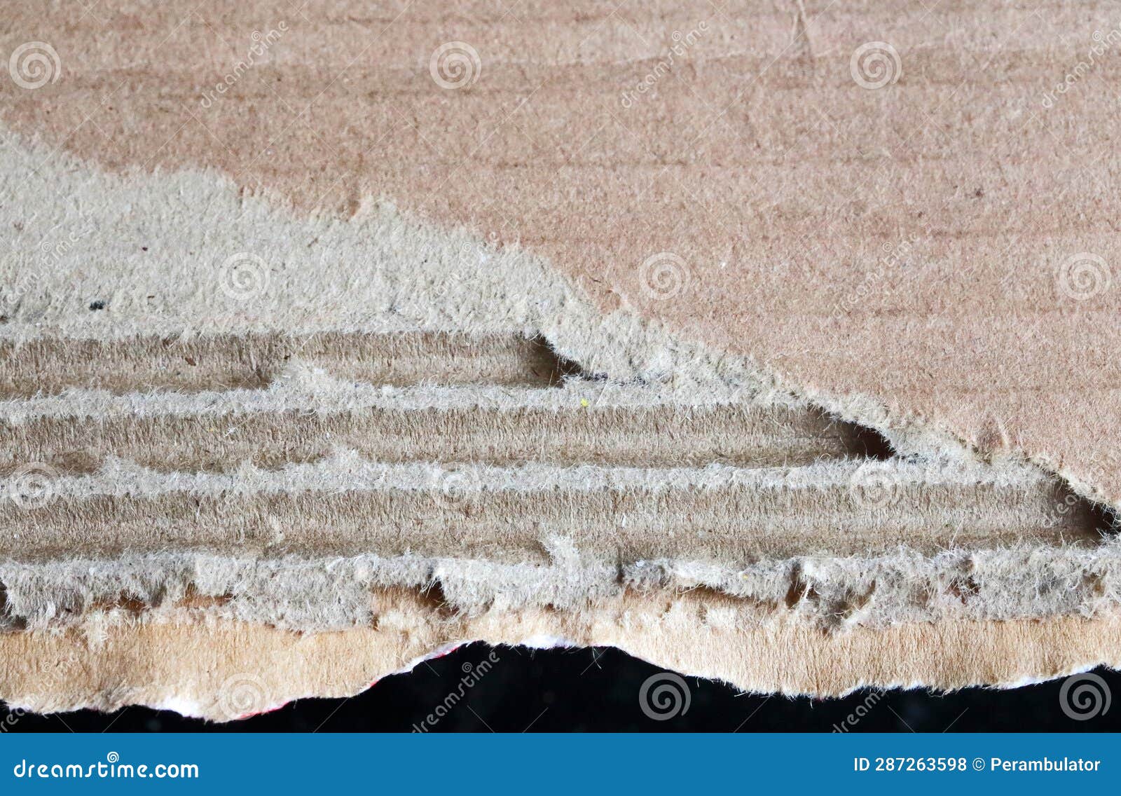 TORN BROWN CARDBOARD LAYERS REVEALING IMPACT ABSORBING STRUCTURE Stock ...