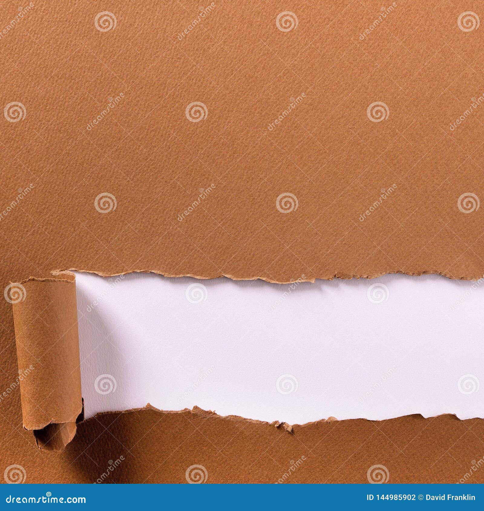 Torn Brown Paper Long Rolled Bottom Edge Header Frame White Background ...