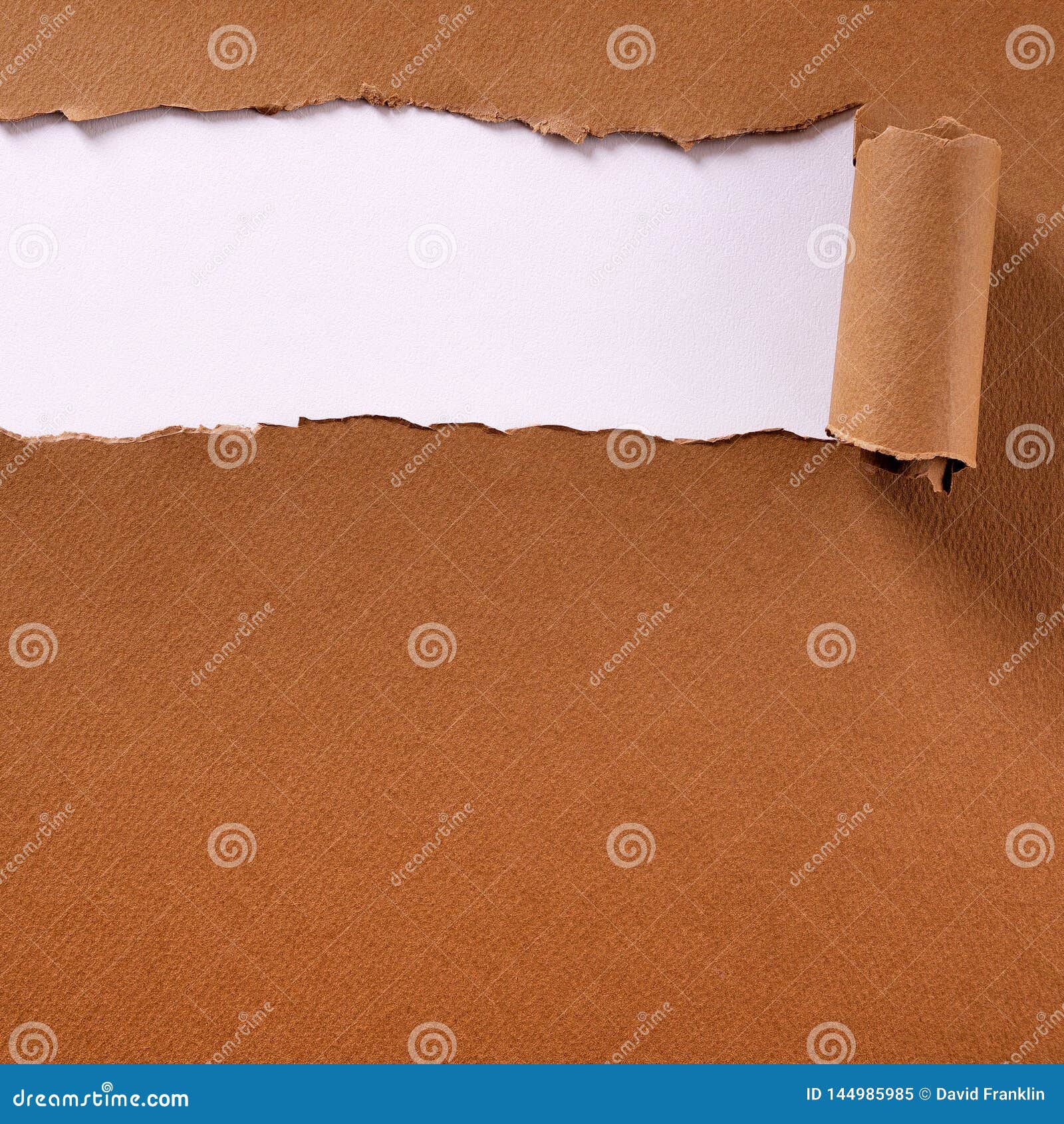 Torn Brown Paper Long Rolled Edge Header Frame White Background Stock ...