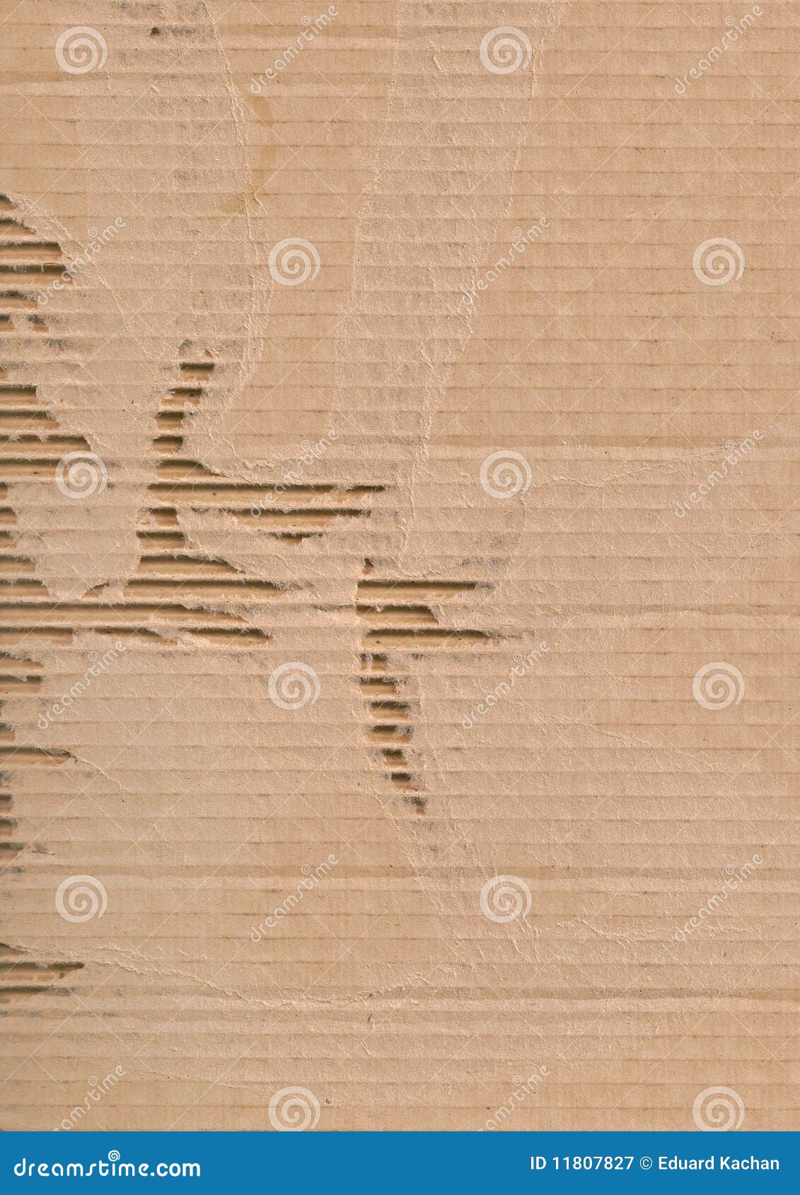 Torn cardboard stock image. Image of package, square - 11807827