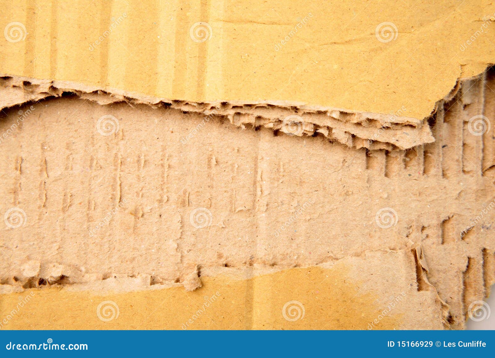 Torn cardboard stock image. Image of cardboard, board - 15166929
