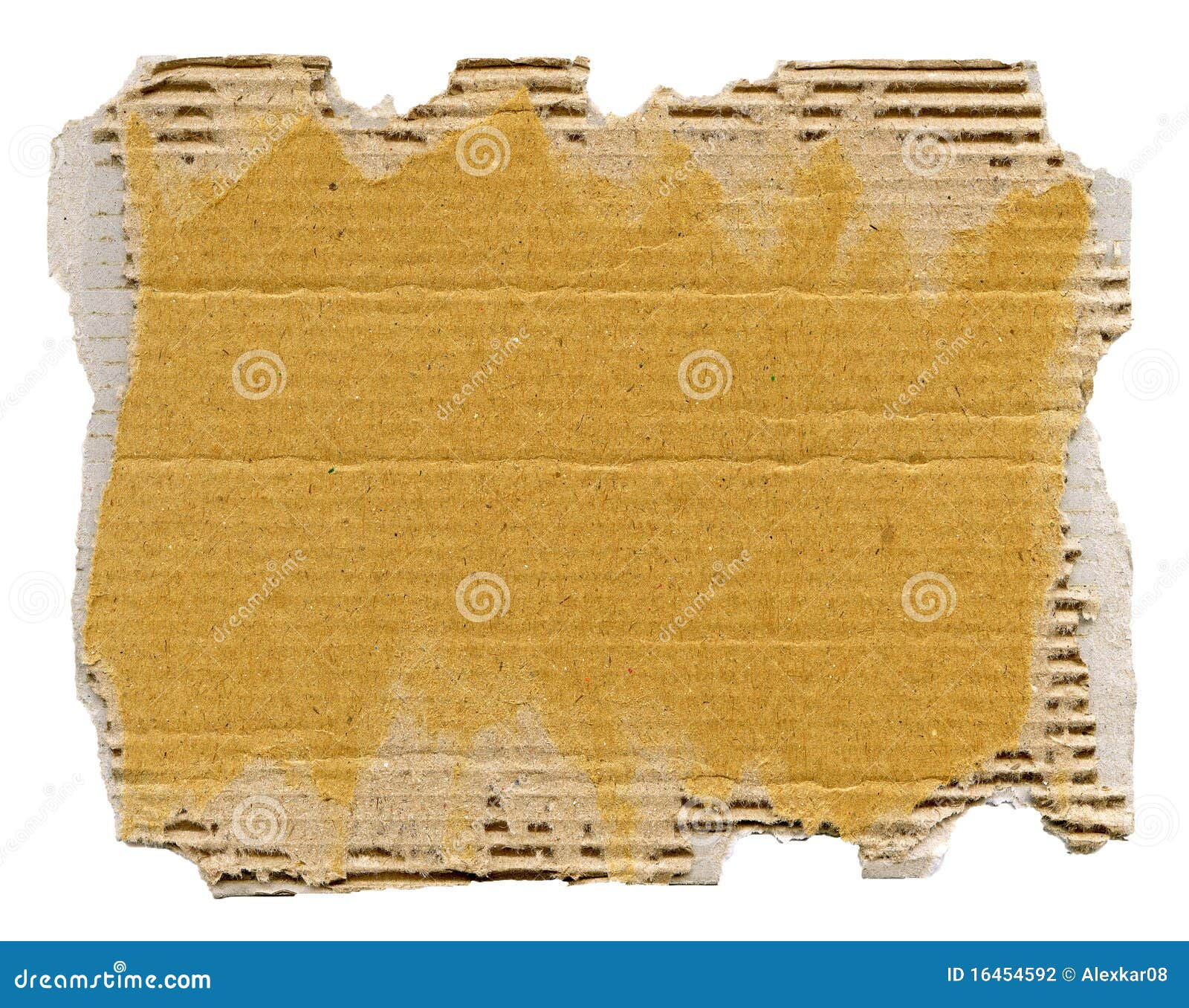 Torn cardboard stock photo. Image of paper, isolated - 16454592