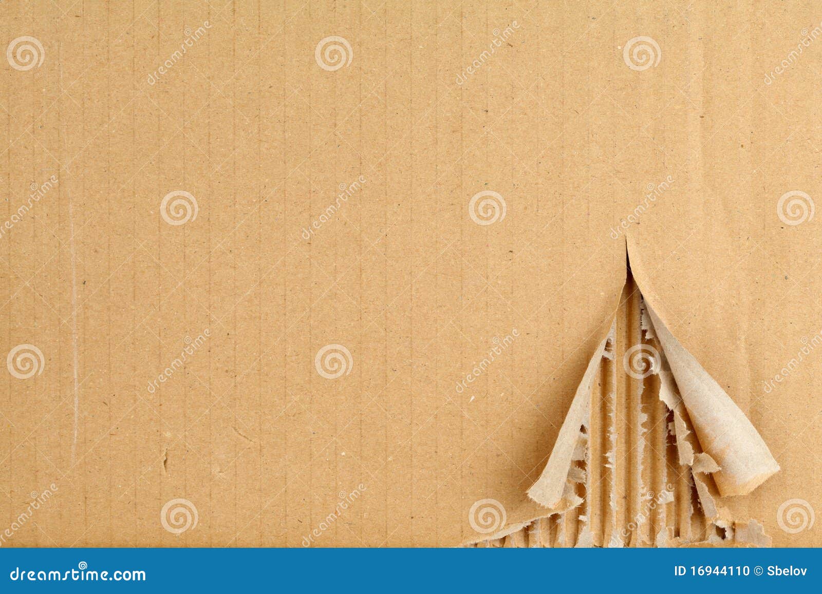 TORN CARDBOARD stock photo. Image of carton, texture - 16944110