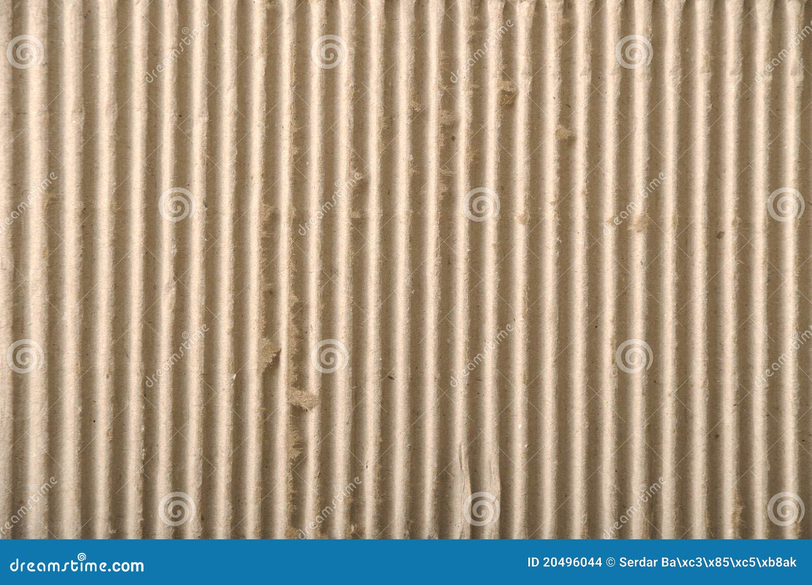Torn cardboard stock photo. Image of corrugate, fuzzy - 20496044