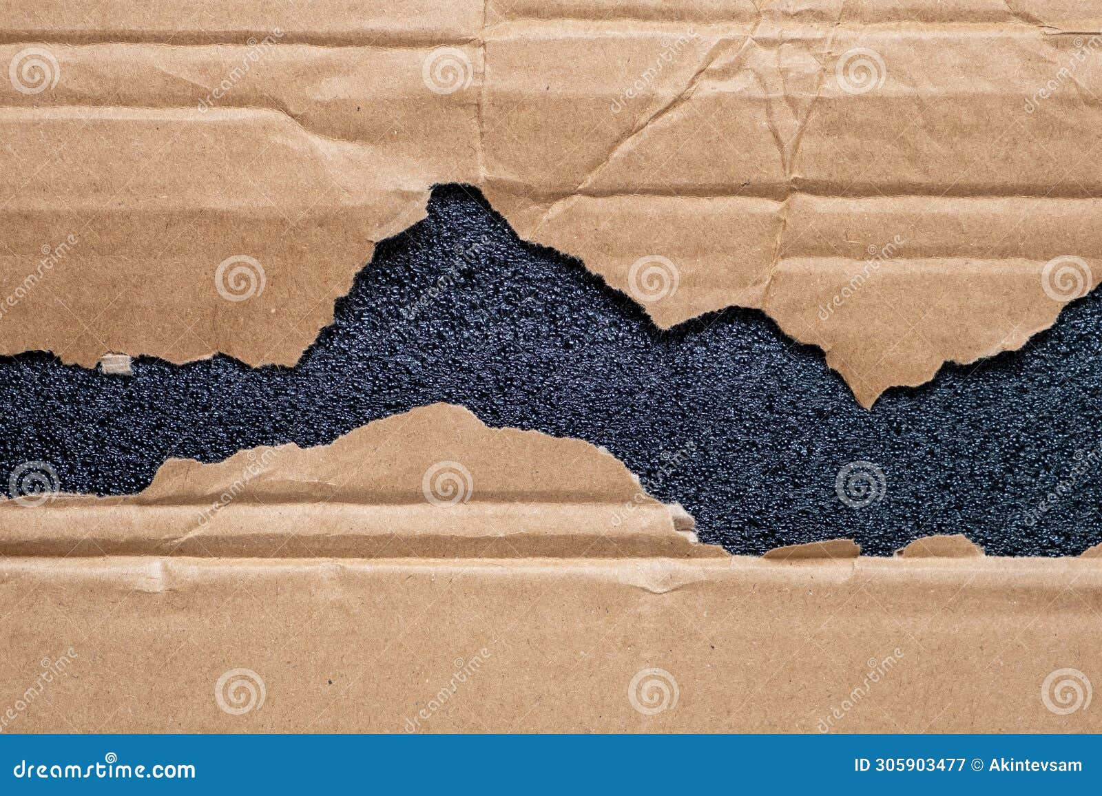 Torn Cardboard Box with Black Protective Polyurethane Foam Stock Image ...