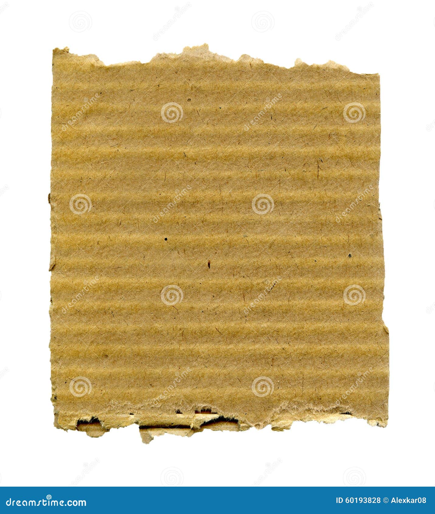 Torn cardboard isolated stock photo. Image of element - 60193828