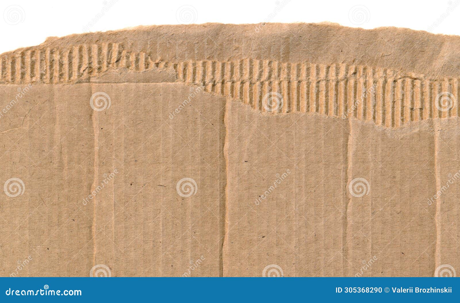 Torn Cardboard. Paperboard Paper Ripped Border, Frame, Edge. Corrugated ...