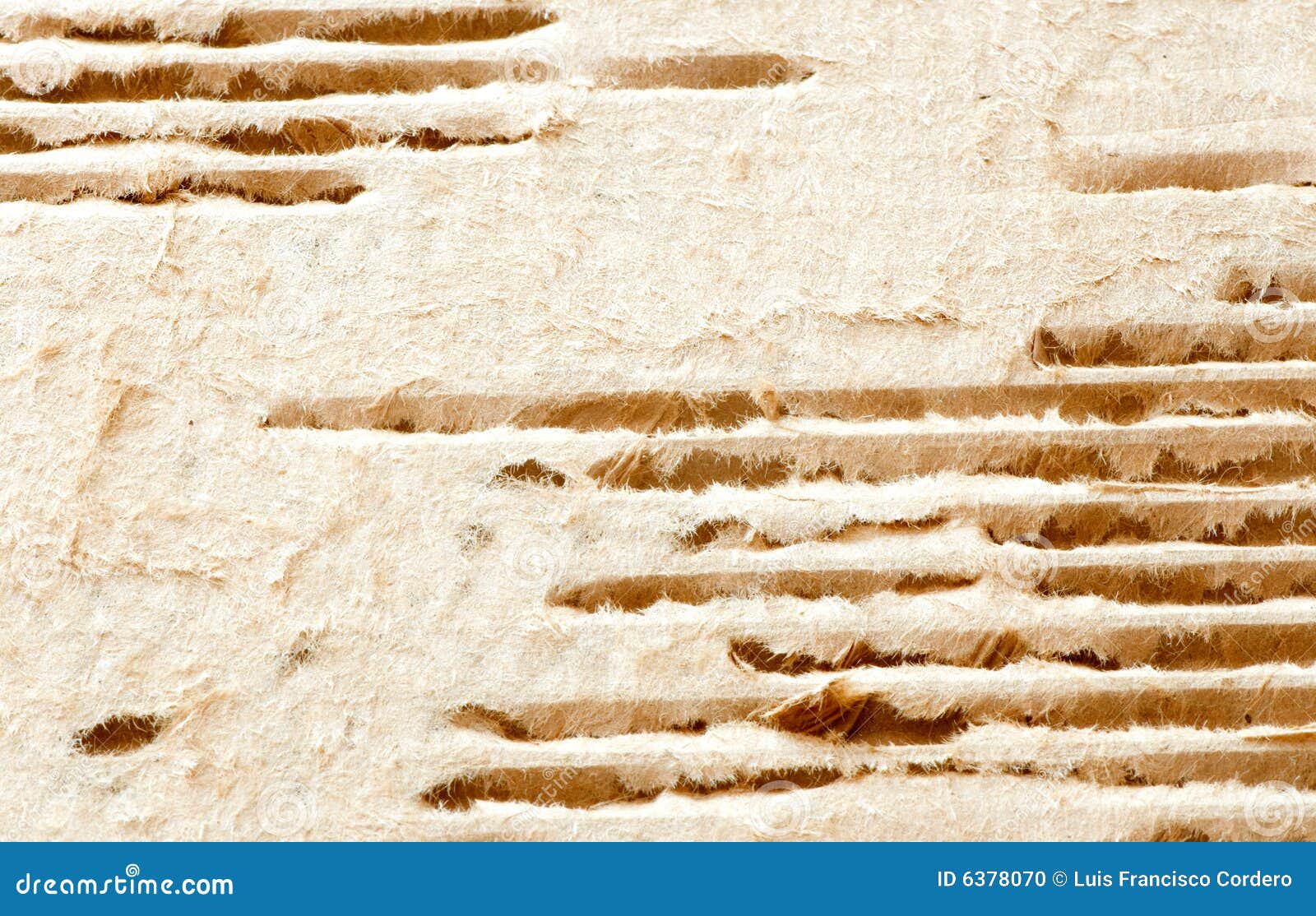 Torn cardboard texture 4 stock photo. Image of paperboard - 6378070