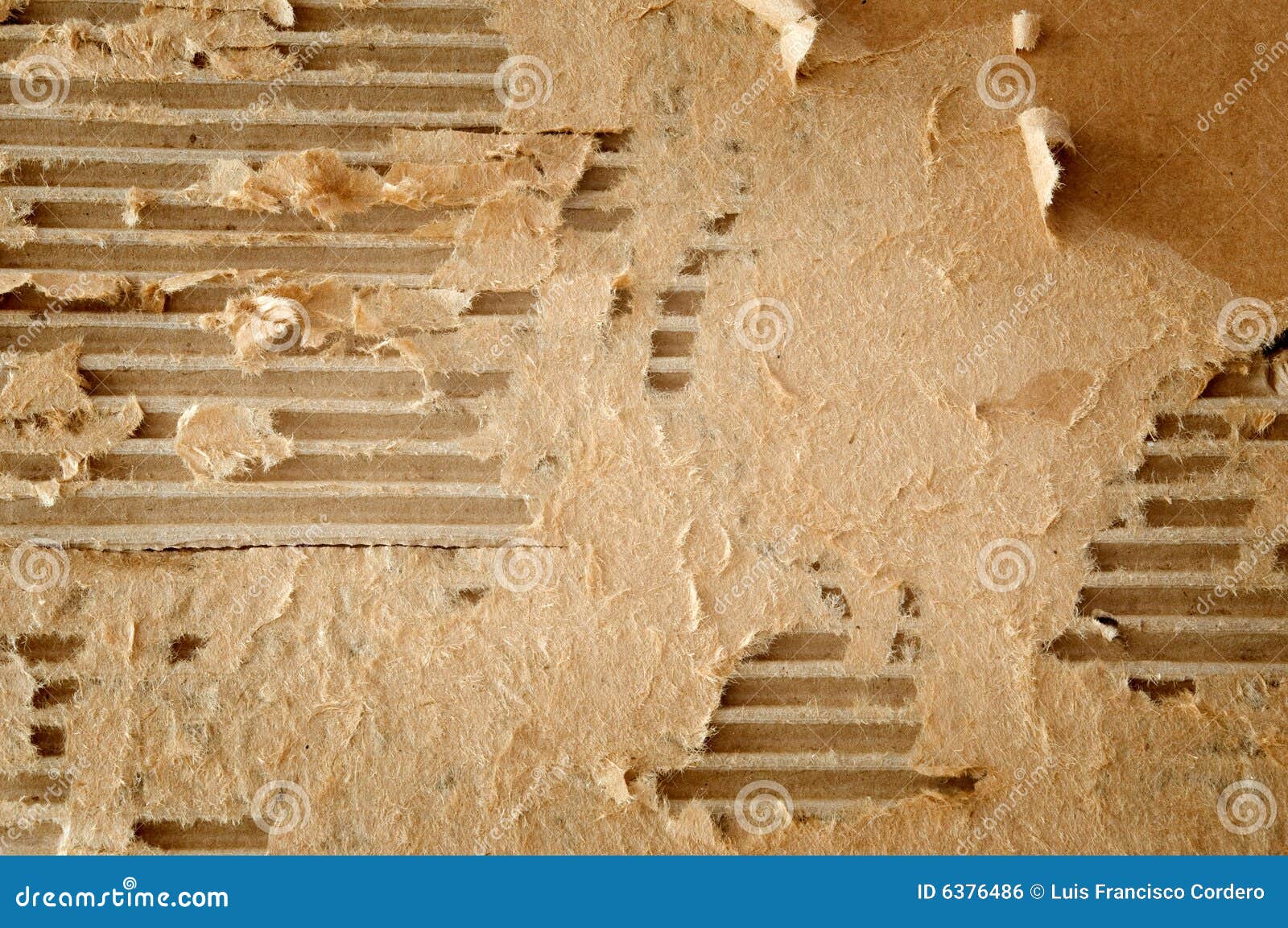 Torn cardboard texture stock photo. Image of corrugated - 6376486
