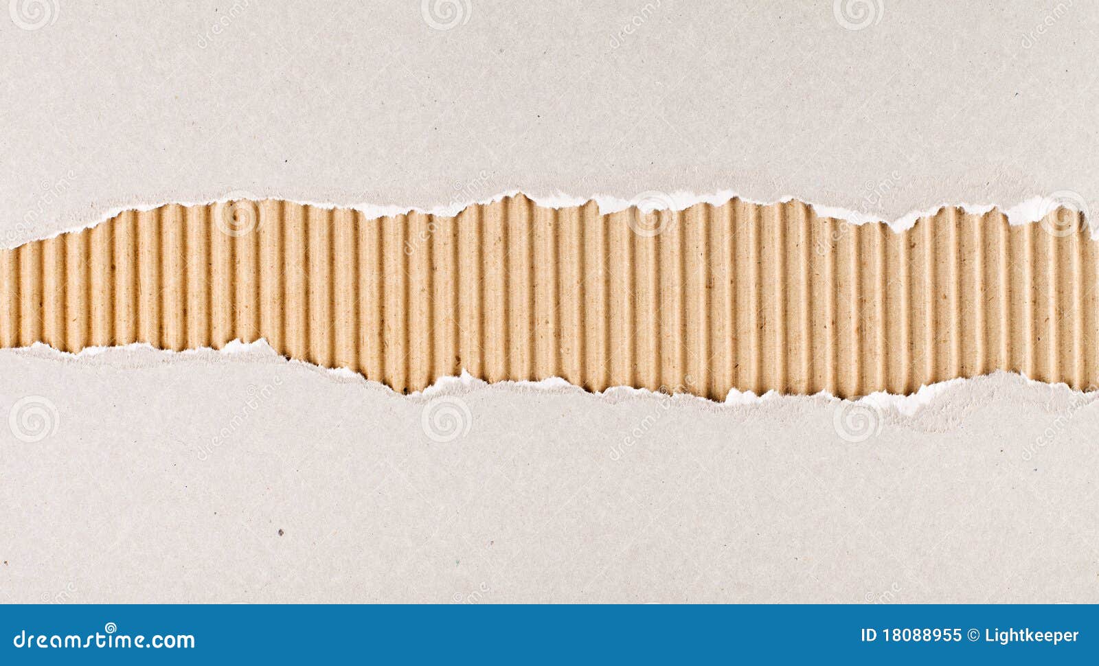 Torn Cardboard Texture with Great Detail Stock Image - Image of ...