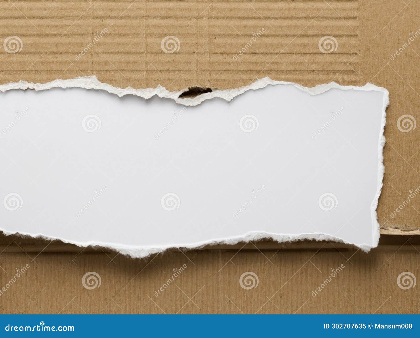 Torn Cardboard Texture with White Ripped Edges Stock Image - Image of ...