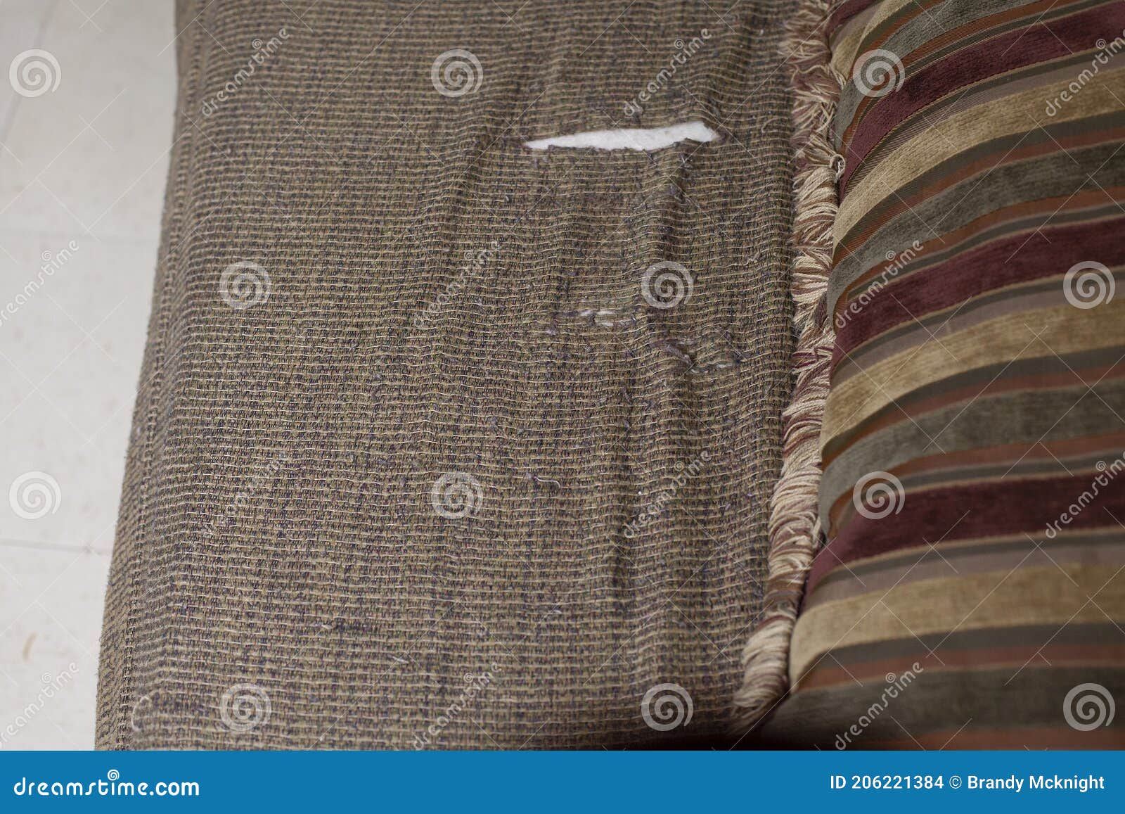 Torn Couch Cushion stock photo. Image of inside, pillow - 206221384