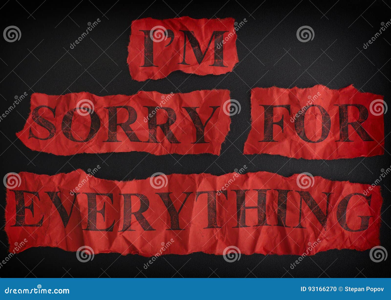 Torn Crumpled Pieces of Paper with the Phrase Sorry for Everything ...