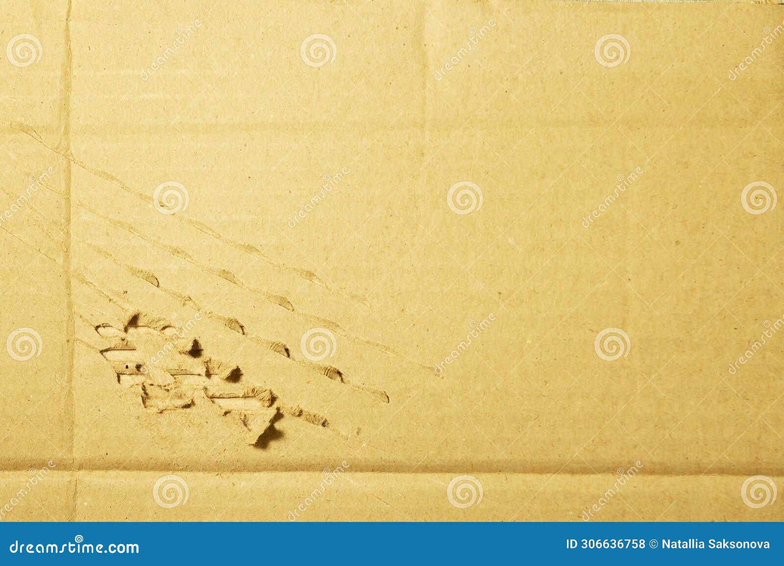 Torn, Damaged Cardboard or Cardboard Boxes, Leaving Claw Marks. Stock ...