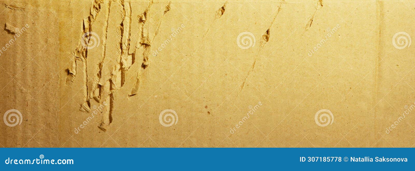 Torn, Damaged Cardboard or Cardboard Boxes, Leaving Claw Marks. Stock ...