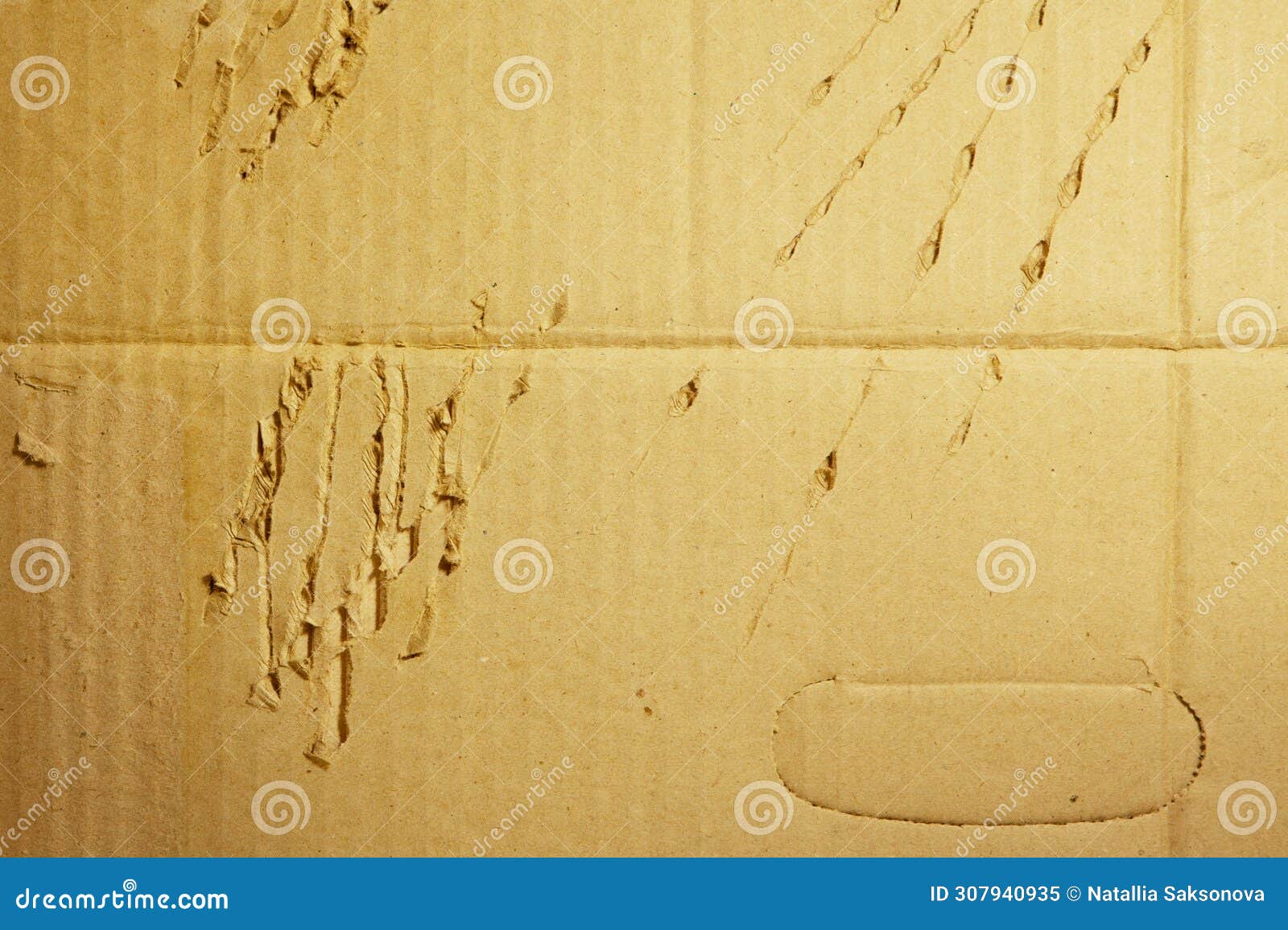Torn, Damaged Cardboard or Cardboard Boxes, Leaving Claw Marks. Stock ...
