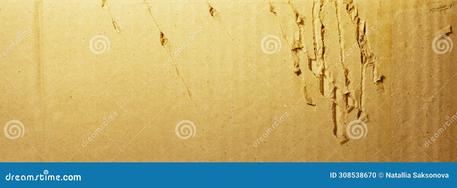 Torn, Damaged Cardboard or Cardboard Boxes, Leaving Claw Marks. Stock ...