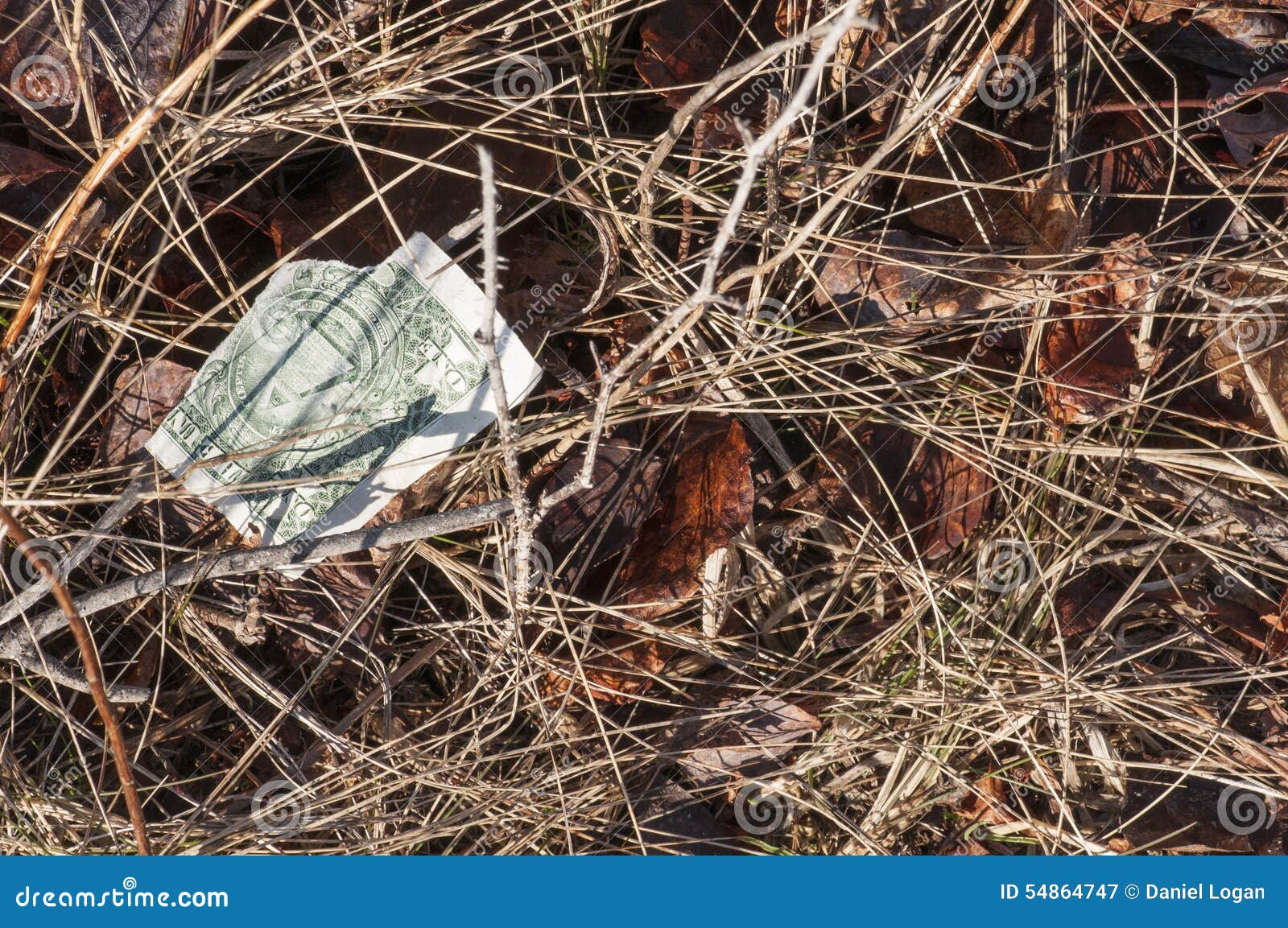 Torn dollar bill stock image. Image of torn, currency - 54864747