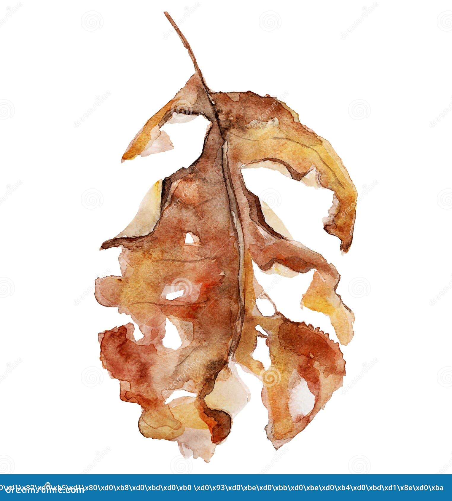 Torn Dry Leaf with Tears and Holes Watercolor Isolated Element Stock ...