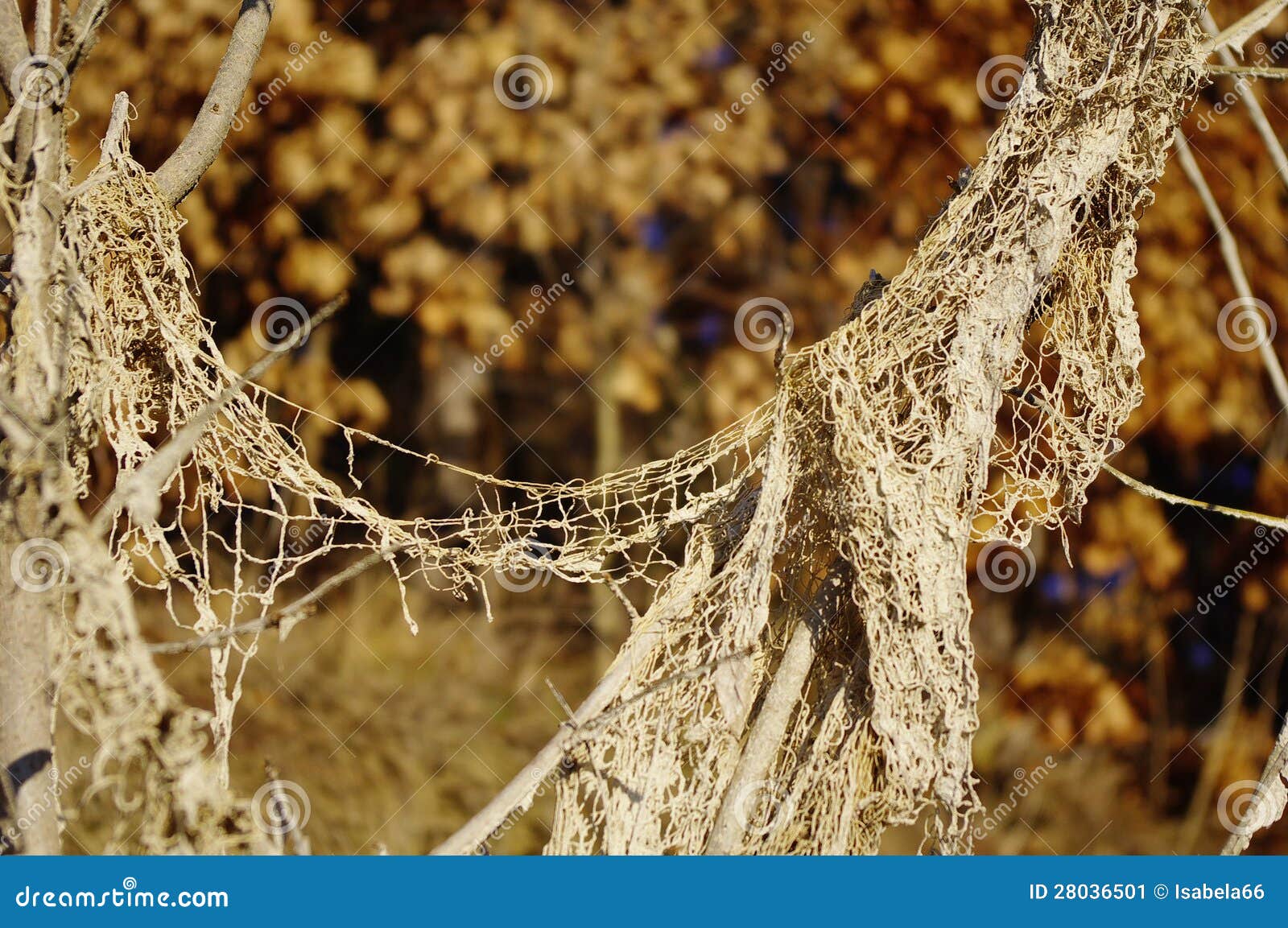 Torn fishnet stock image. Image of hacking, fall, rope - 28036501