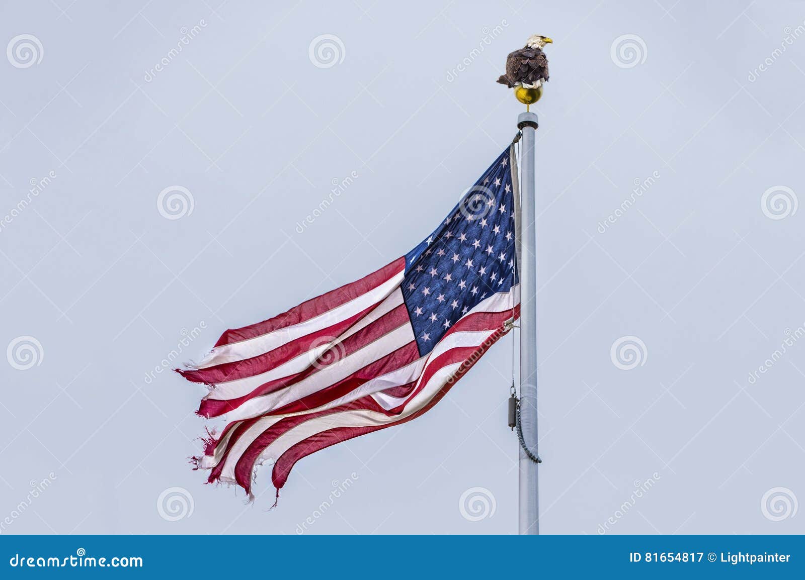 Torn flag stock image. Image of eagle, stripes, american - 81654817