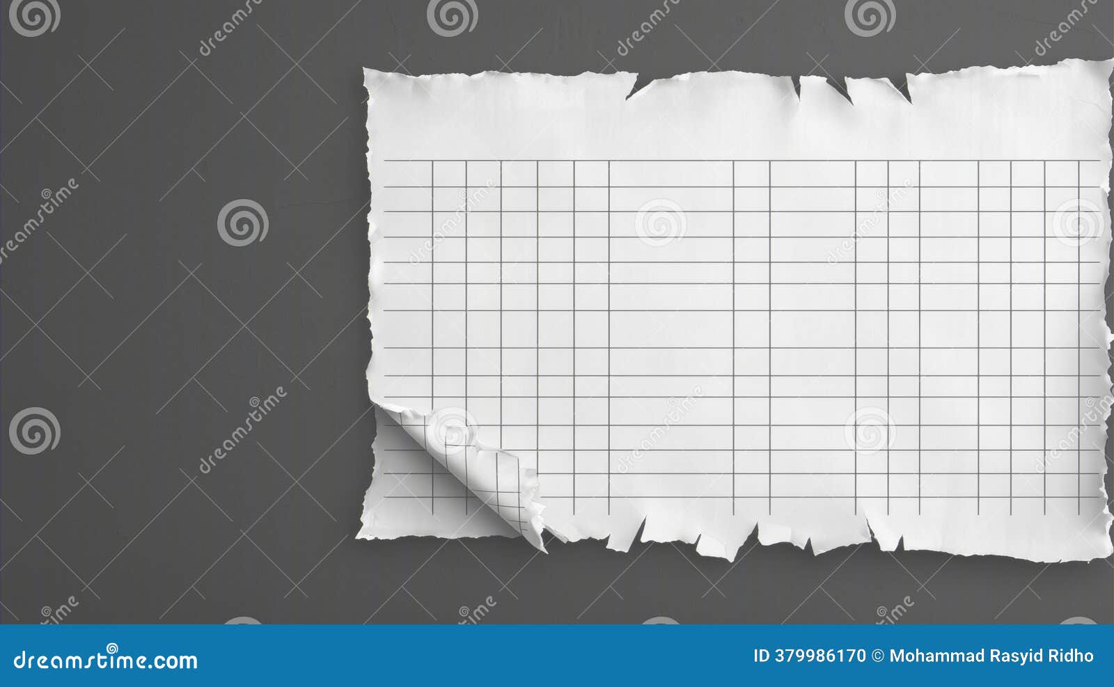 Torn Grid Paper. Vector Illustration | CartoonDealer.com #24682192