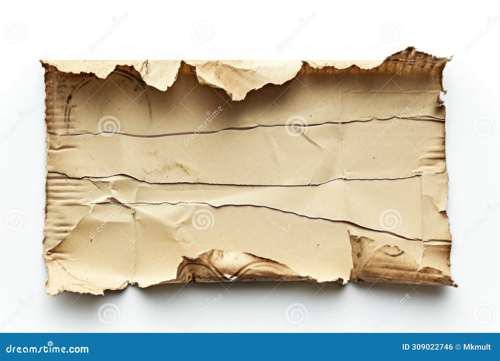 Torn in Half, a Clear Image of a Piece of Paper Ripped Down the Middle ...