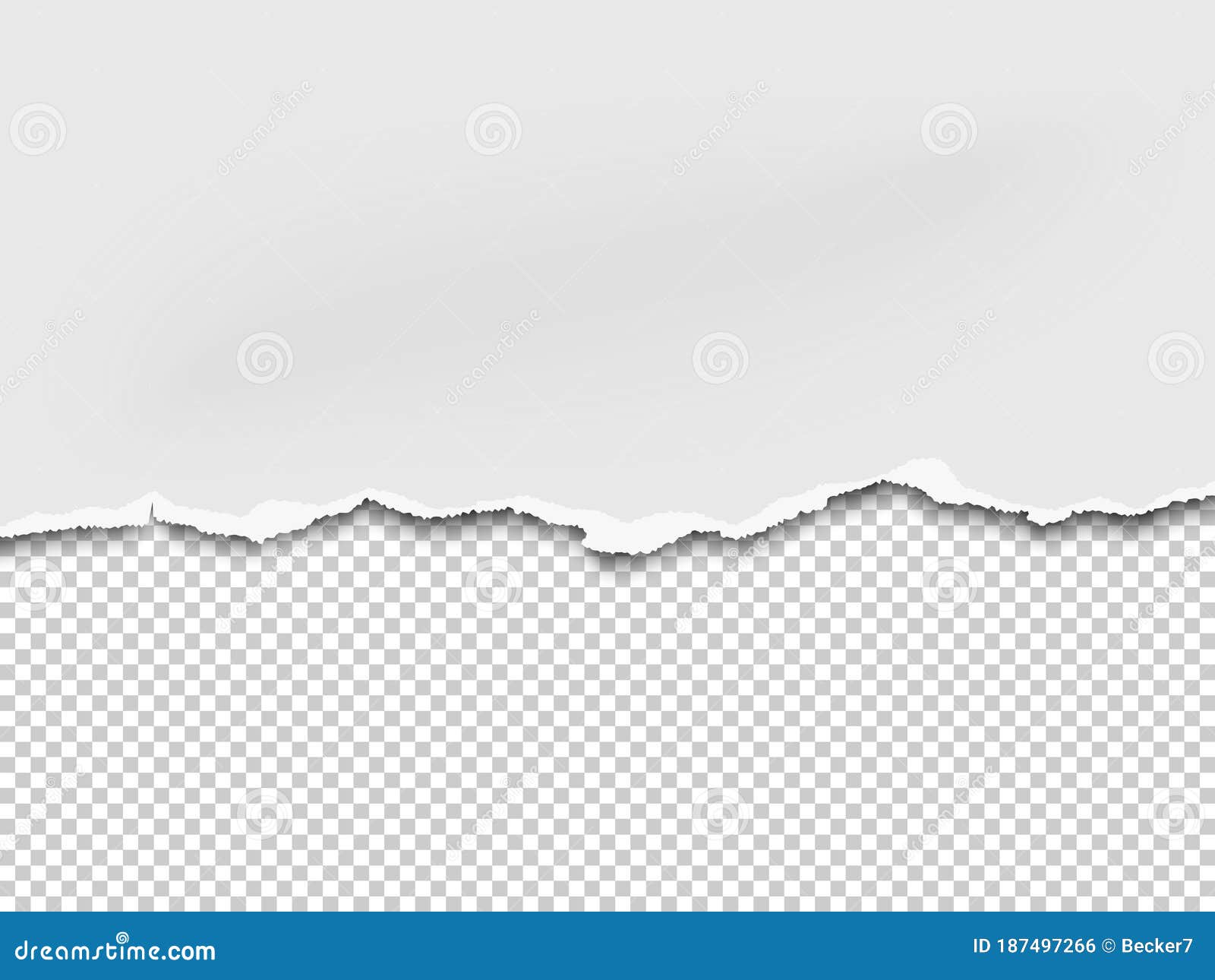 Vector Torn a Half Sheet of White Paper from the Bottom. Isolated on ...