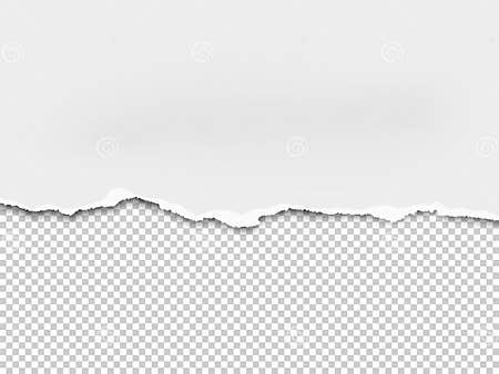 Torn a Half Sheet of White Paper from the Bottom Placed on Transparent ...