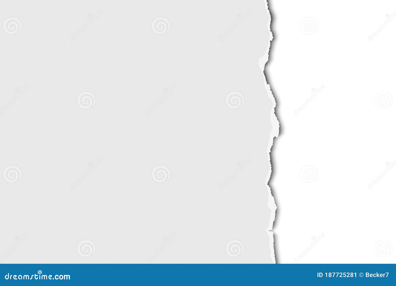 Torn a Half Sheet of White Paper from the Up To the Down. Vector ...