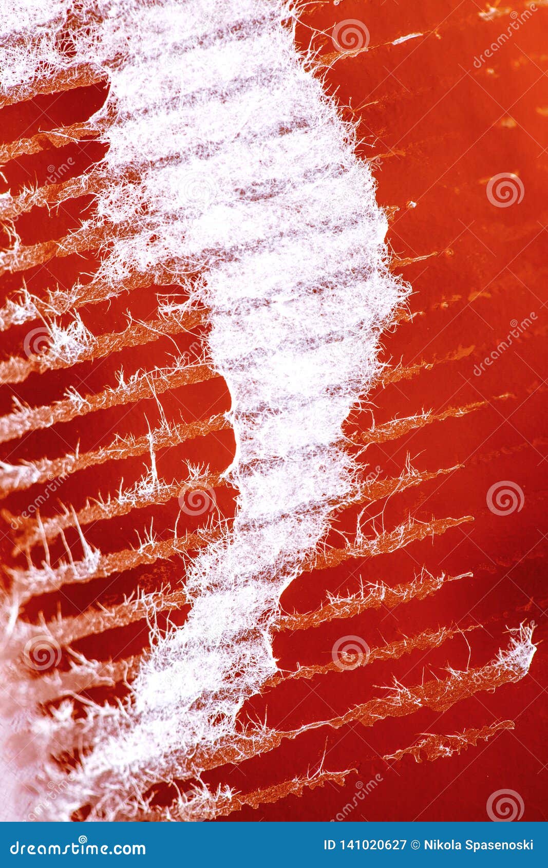 Torn Label from a Beer Bottle Close Up Stock Image - Image of object ...
