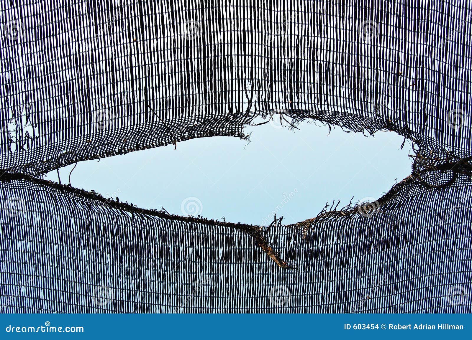 Torn net stock photo. Image of stress, tension, torn, thread - 603454