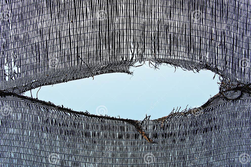 Torn net stock photo. Image of stress, tension, torn, thread - 603454