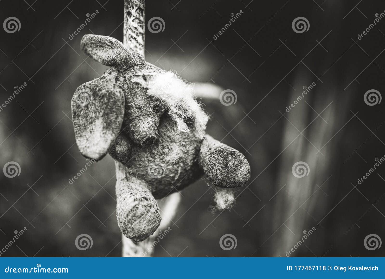 Torn Old Children Toy Plush Rabbit, Black and White, Dramatic Mood ...