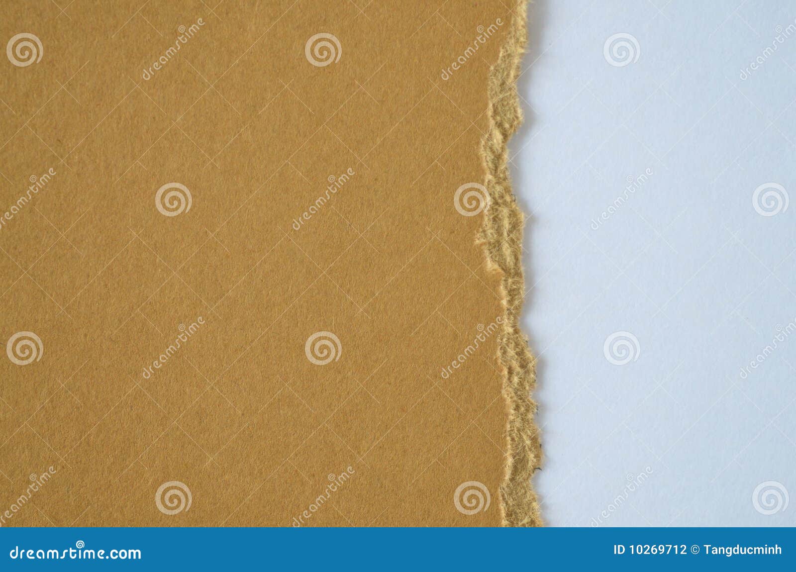 Torn Paper stock photo. Image of paper, tear, torn, surface - 10269712
